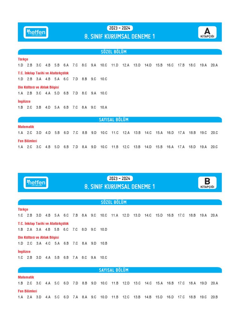 8 SNF Netfen Deneme 1 - Ca | PDF