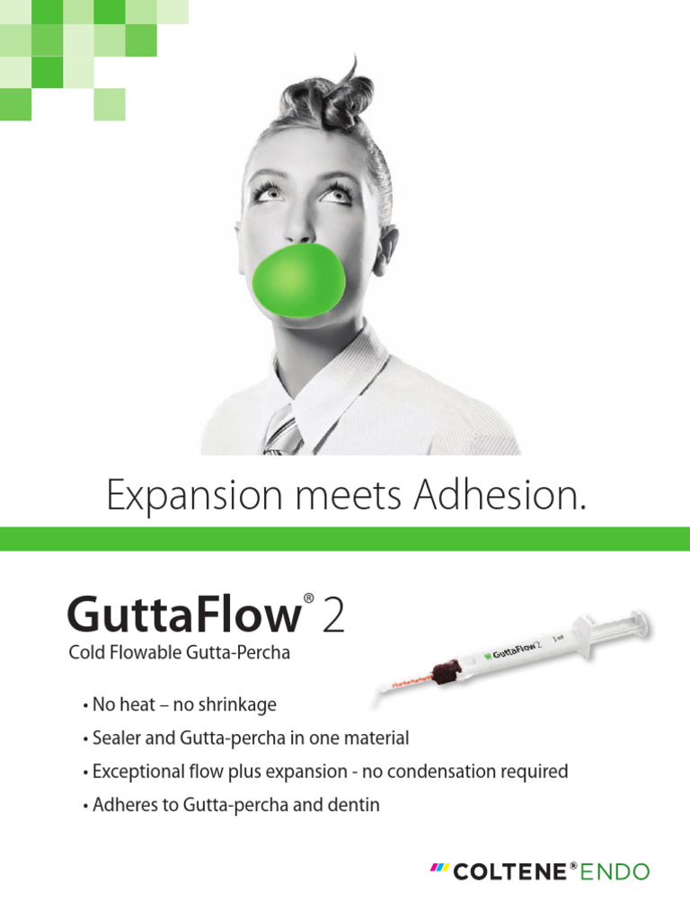 30588A GuttaFlow 2 Bro | PDF | Materials