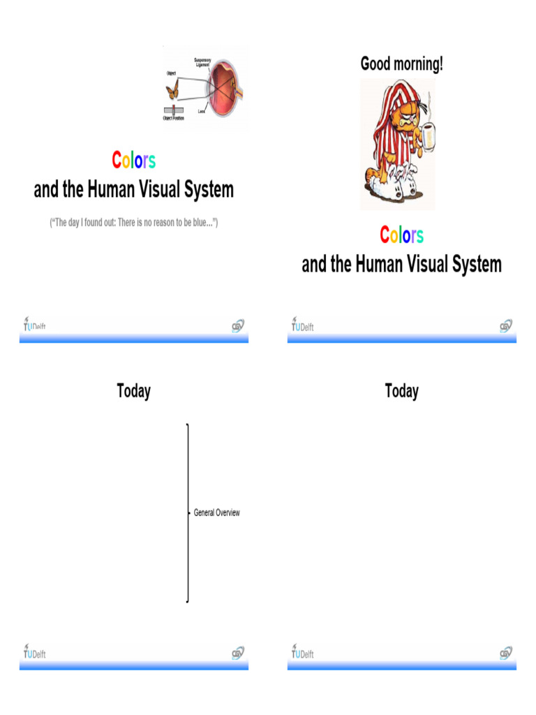 IN4089 - Lecture 02 - Color Perception-Pdfjam | PDF | Color | Rgb Color Model