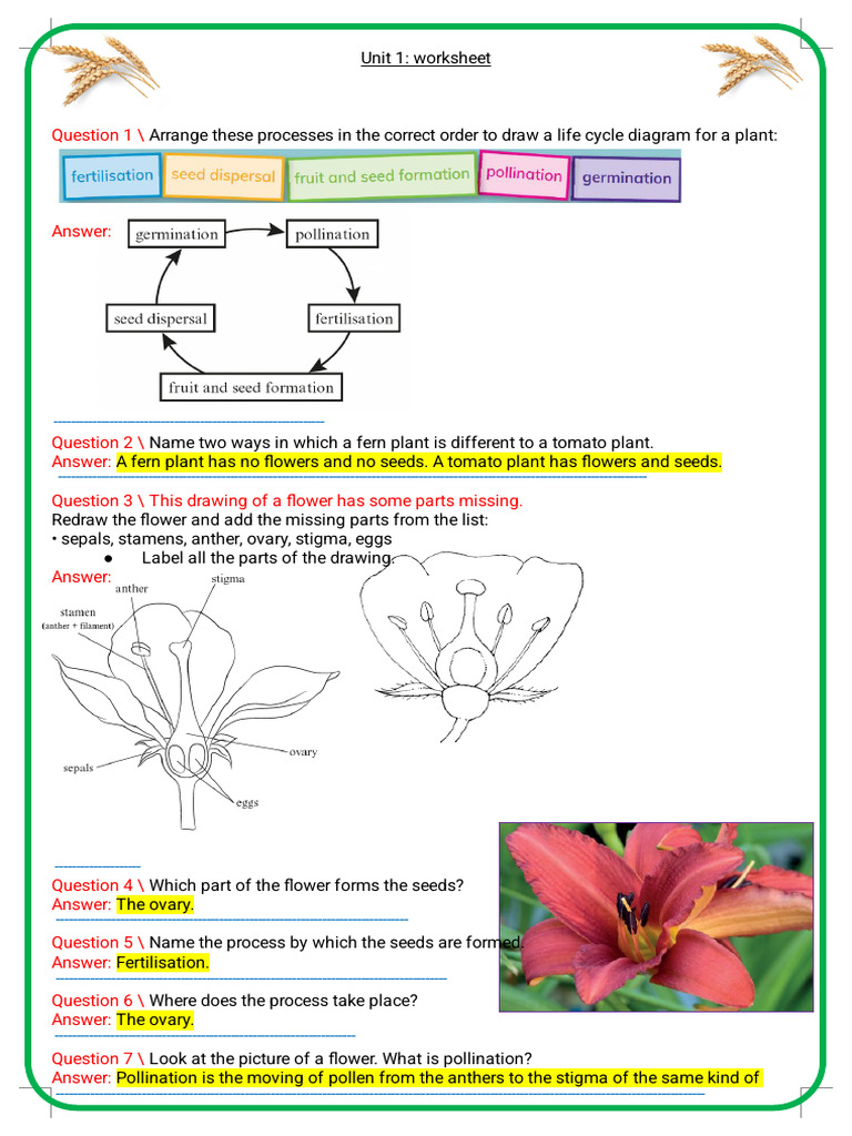 Unit One | PDF | Flowers | Pollination