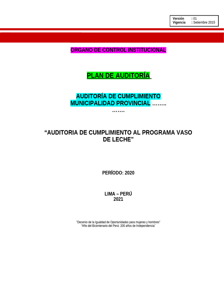 Plan - Auditoria PVL | PDF | Auditoría | Gobierno