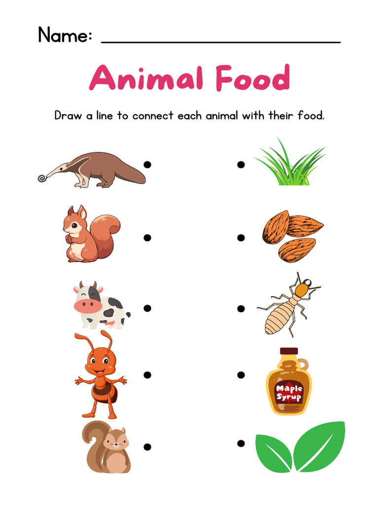 Colorful Illustrative Animal Food Worksheet-2 | PDF