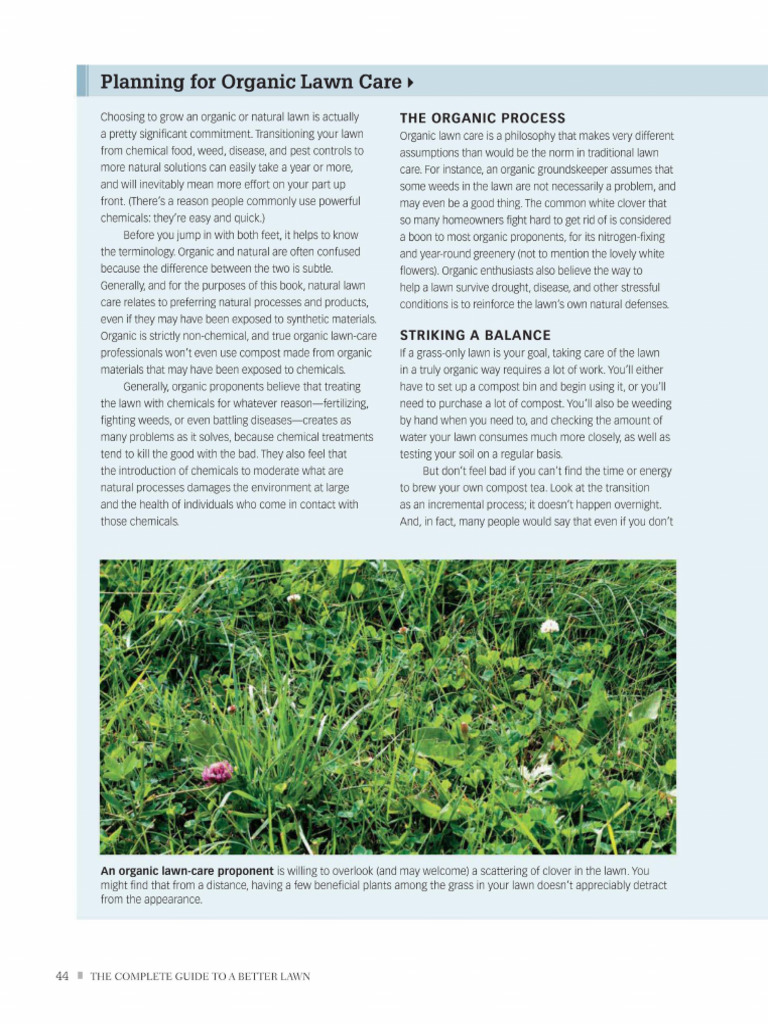 Planning For Organic Lawn Care | PDF | Lawn | Sod
