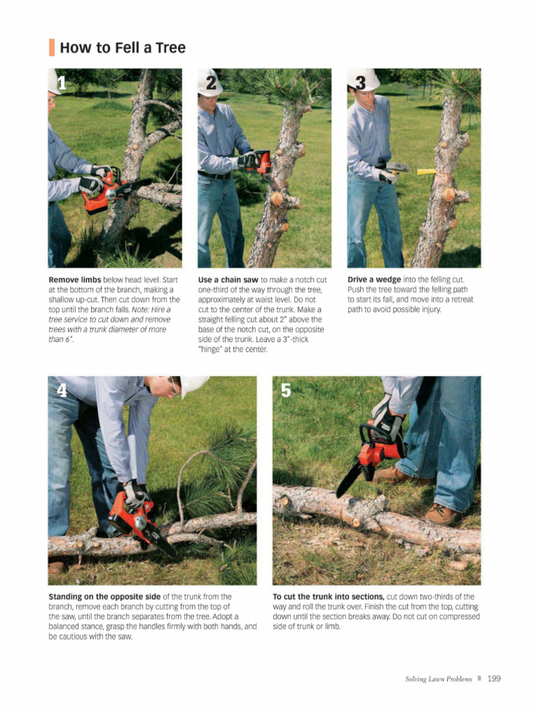 How To Fell A Tree: Remove Limbs Use A Chain Saw Drive A Wedge | PDF ...