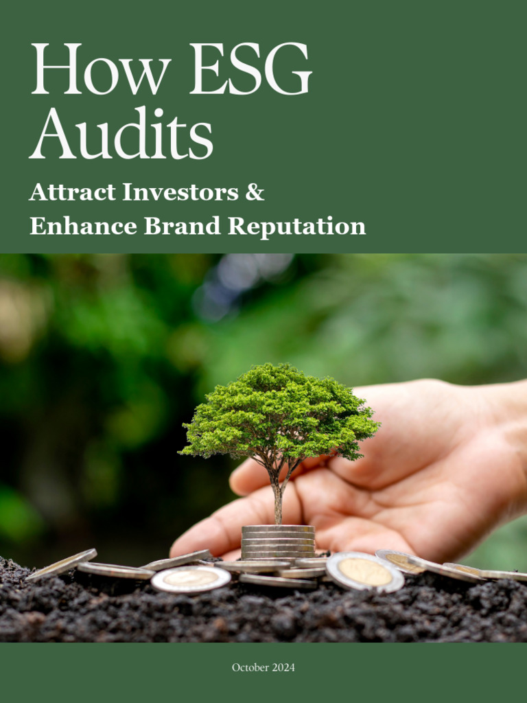 How ESG Audits Can Attract Investors and Enhance Brand Reputation | PDF ...