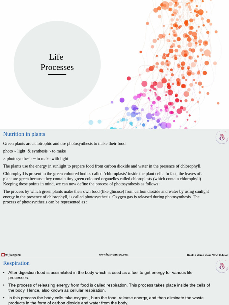 Life Processes | PDF | Lymph | Heart