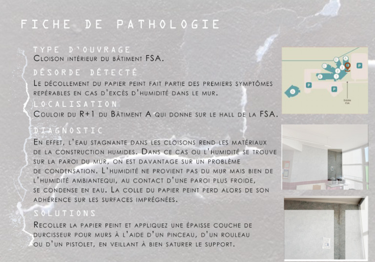 Fiche Patho | PDF