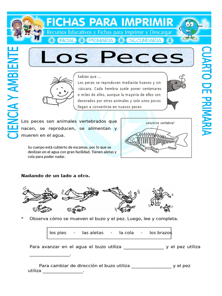 Ciclo de Vida de los Peces para Niños | PDF | Pescado | Rana
