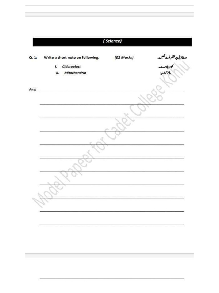 Sample Papers For Admission | PDF