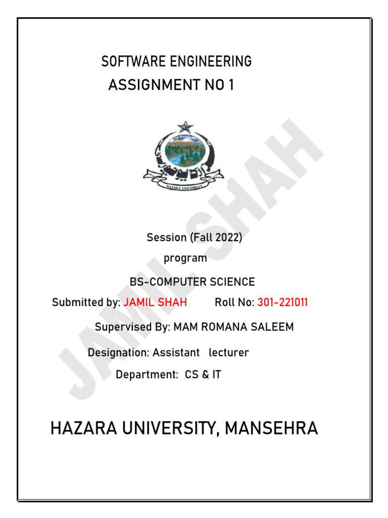 Jamil Software Assignment | PDF | Reliability Engineering | Software ...
