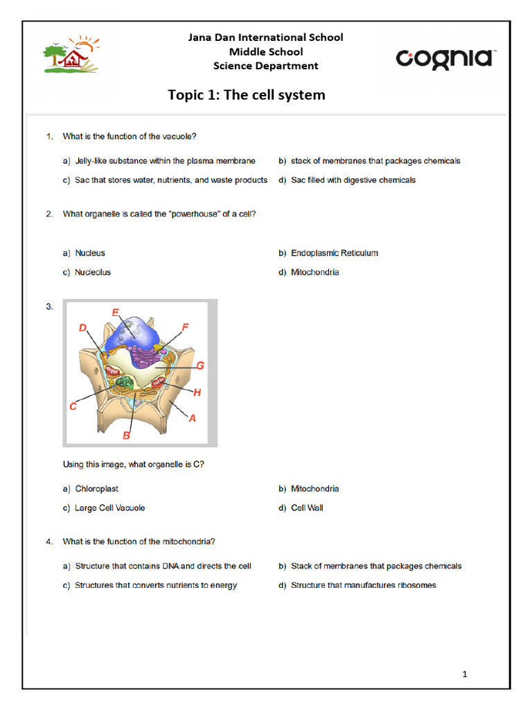 Grade 7 Topic 1 Lesson 1 Worksheet 2 | PDF | Home & Garden | Wellness