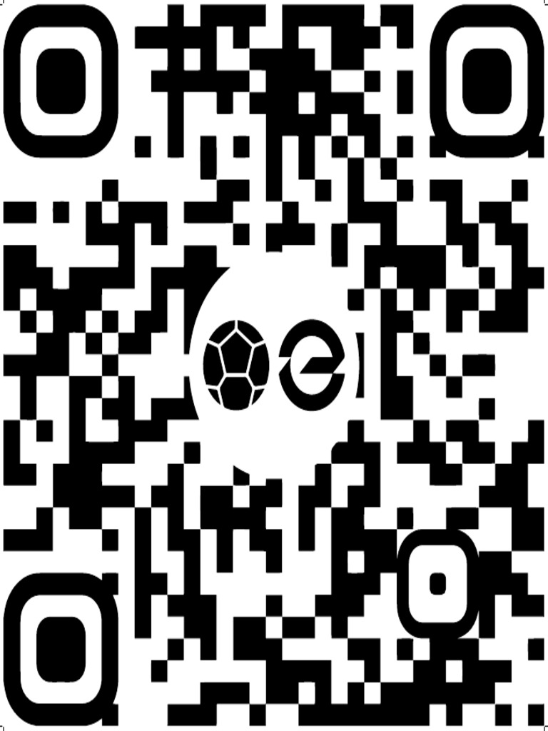 Instrucciones Teamsports QR | PDF