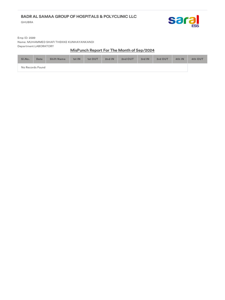 MisPunch Report | PDF