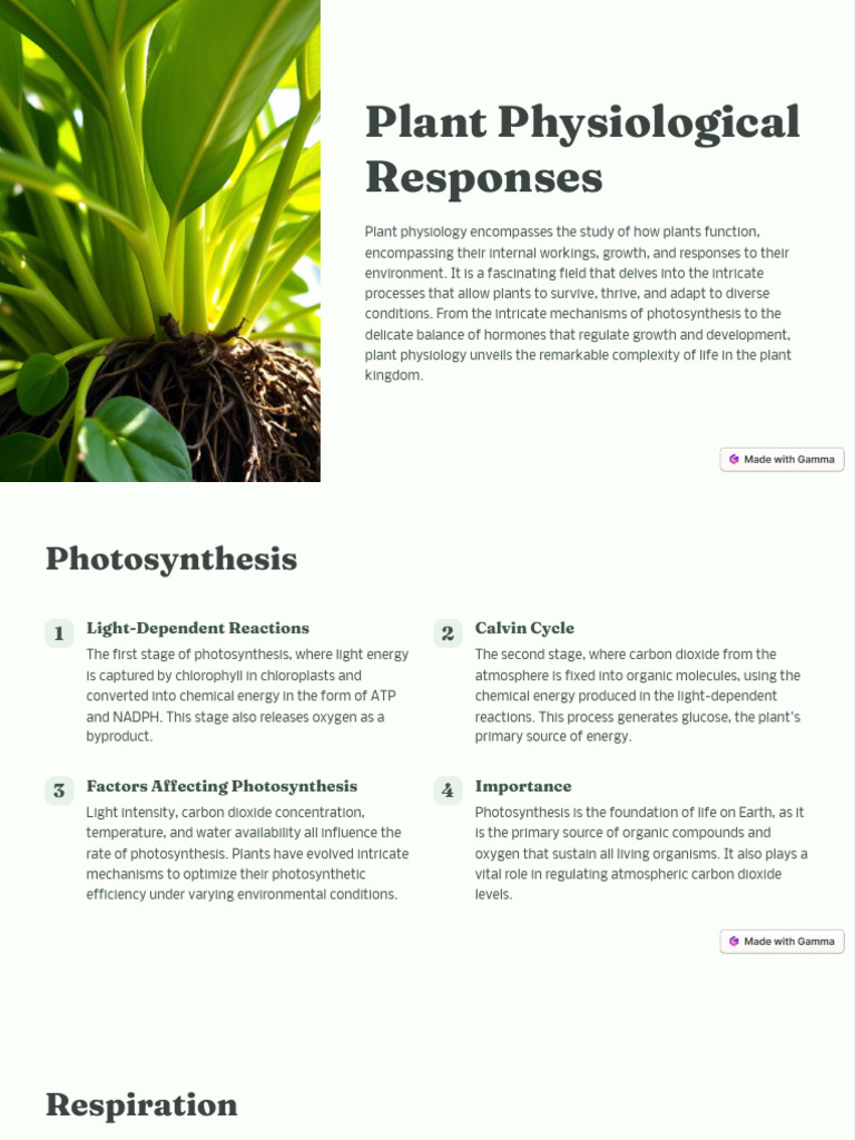 Plant Physiological Responses | PDF | Photosynthesis | Plants