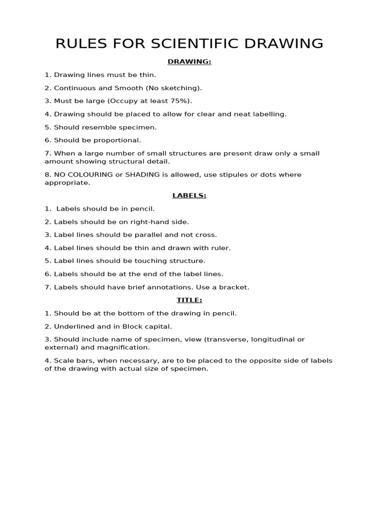 Rules For Scientific Drawing | PDF | Home & Garden | Art