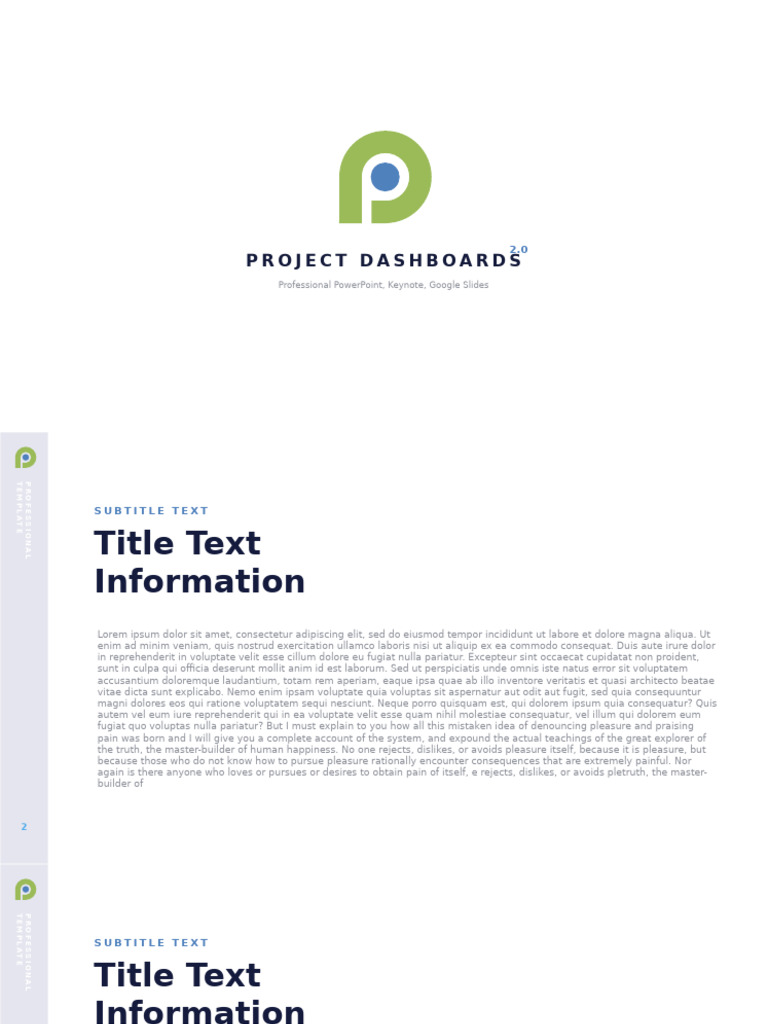 Professional Project Dashboard Template | PDF