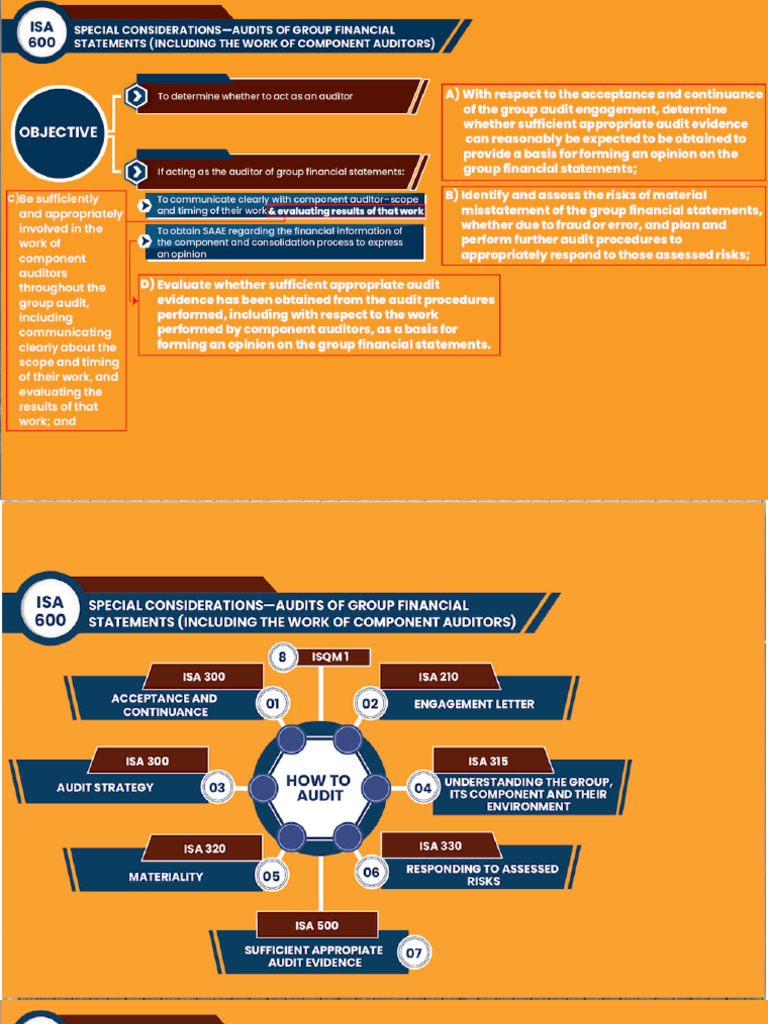 ISA 600 Revised | PDF