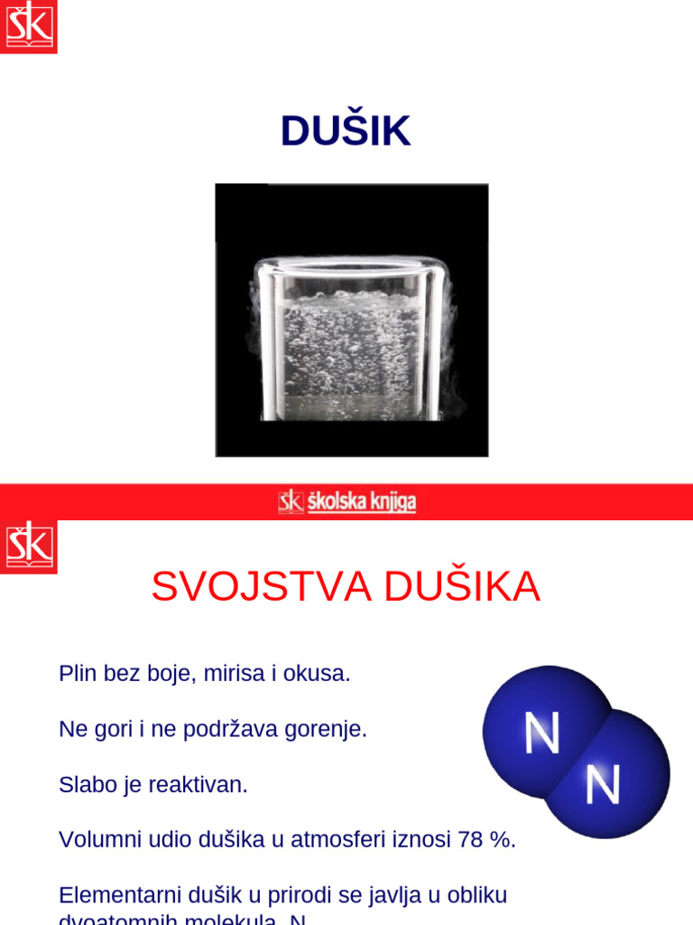 Dusik - Virtualna | PDF