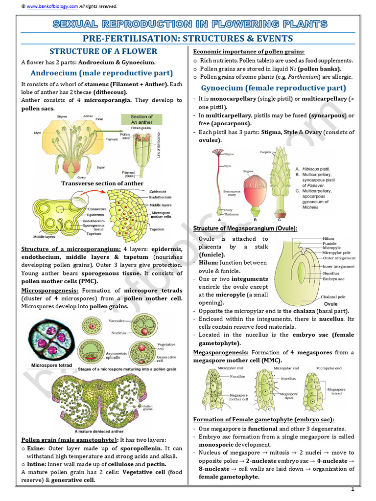 2 sexual reproduction in flowering plants -capsule notes | PDF | Seed ...