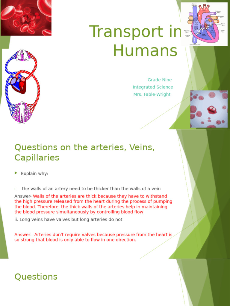Components of Blood | PDF | Blood | Artery
