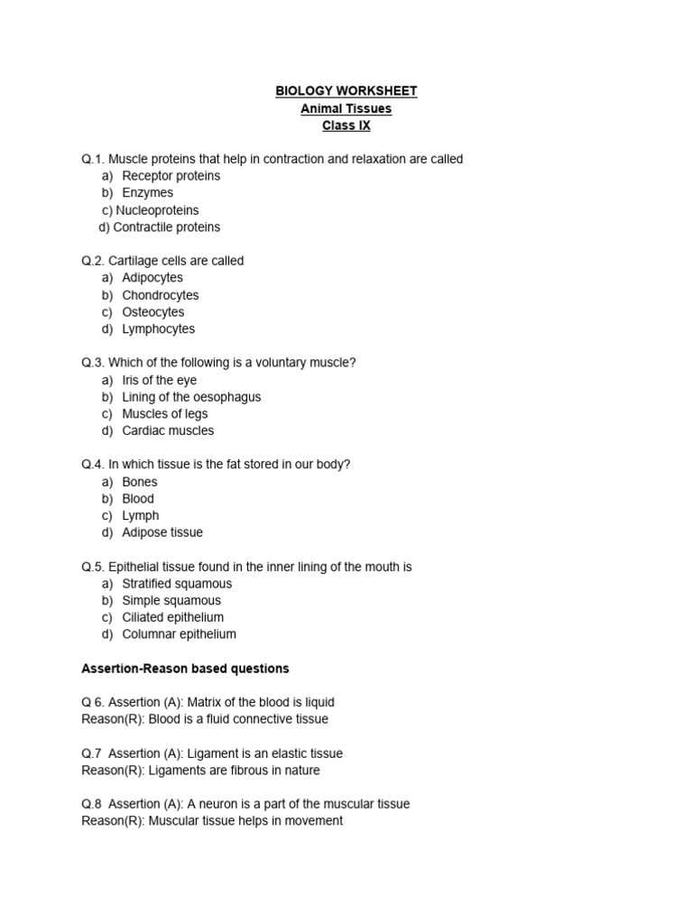 Untitled Document | PDF | Wellness