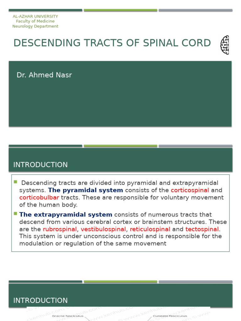 Overview of Spinal Cord Descending Tracts | PDF | Spinal Cord ...