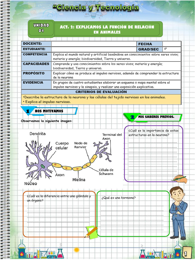 A-4º Act 2-Cyt-Und 4 - Sem 1 | PDF | Axon | Neurona