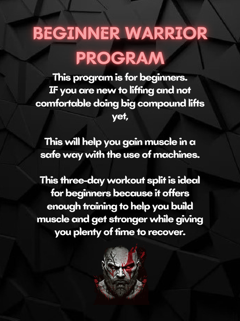 Beginner Warrior Training Program | PDF