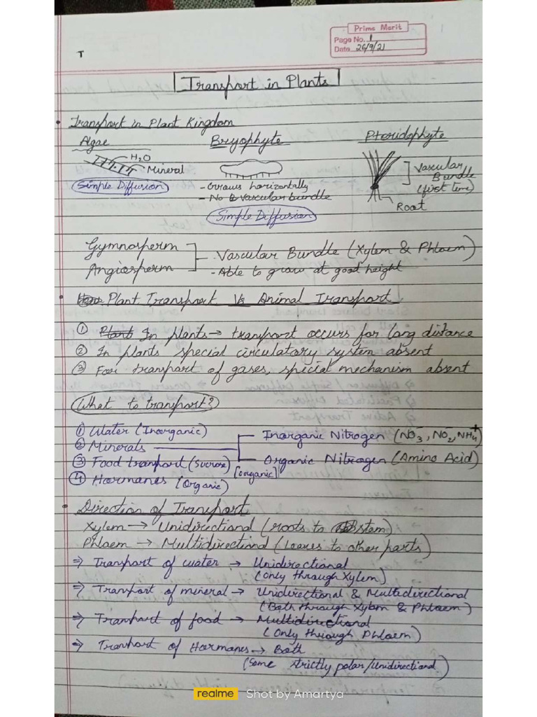 Transport in Plant Handwritten Notes | PDF
