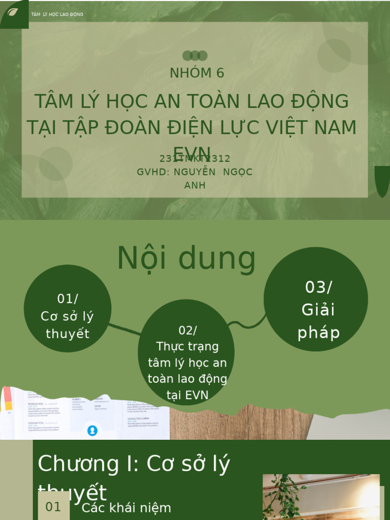 TÂM LÝ HỌC AN TOÀN LAO ĐỘNG CỦA TẬP ĐOÀN ĐIỆN LỰC VIỆT NAM EVN | PDF