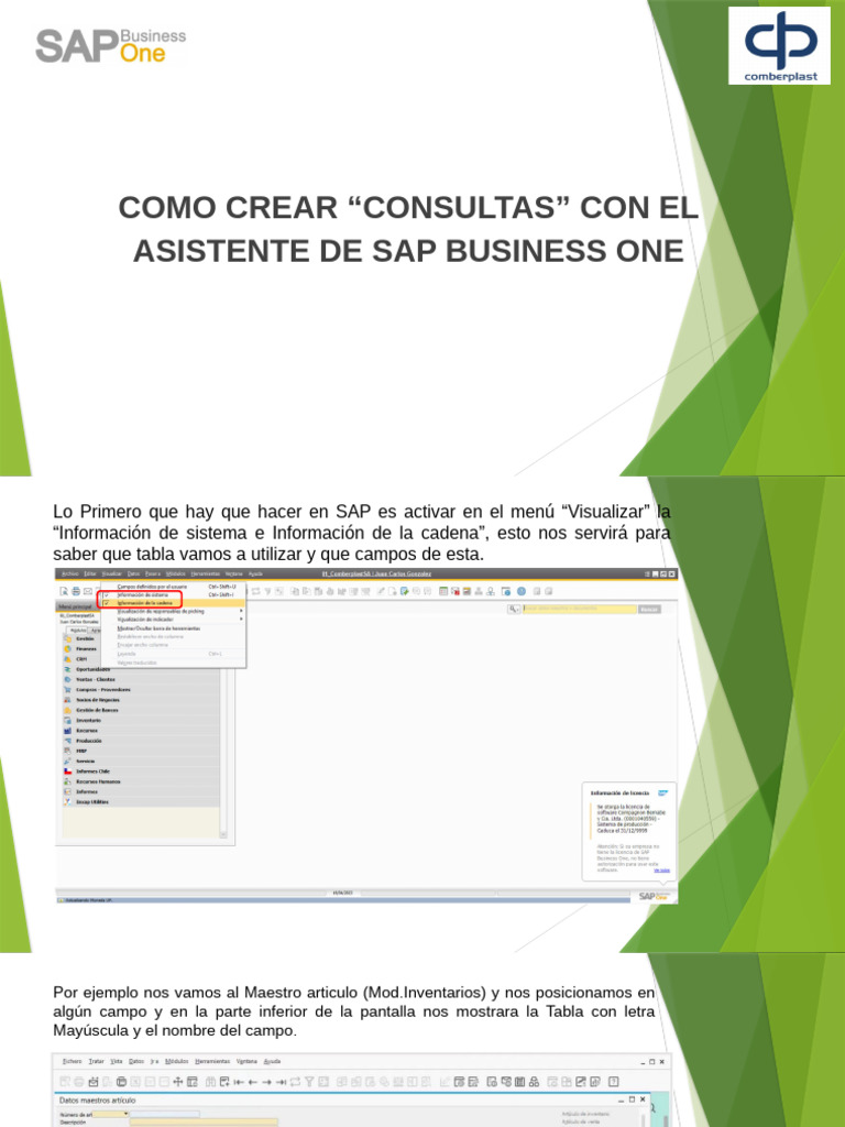 Capacitacion Consultas SAP | PDF | Informática