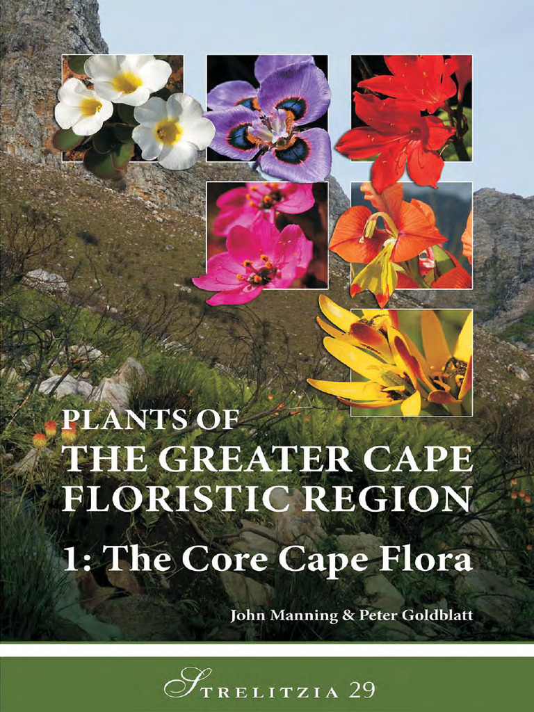 Cape Flora I | PDF | Rain | Soil