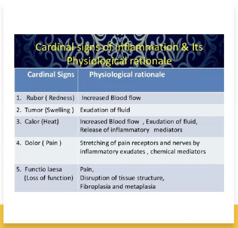 Cardinal Signs of Inflammation | PDF