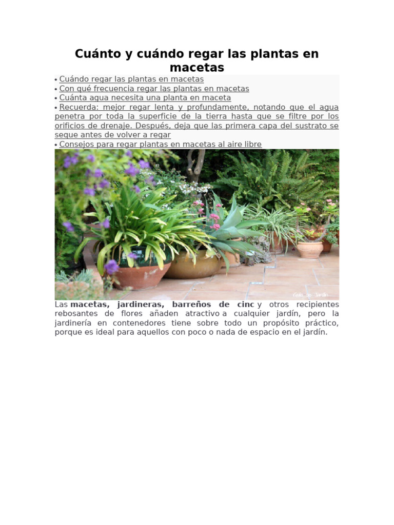 Cuánto y Cuándo Regar Las Plantas en Macetas | PDF | Riego | Agua Cuánto y Cuándo Regar Las Plantas en Macetas | PDF | Riego | Agua