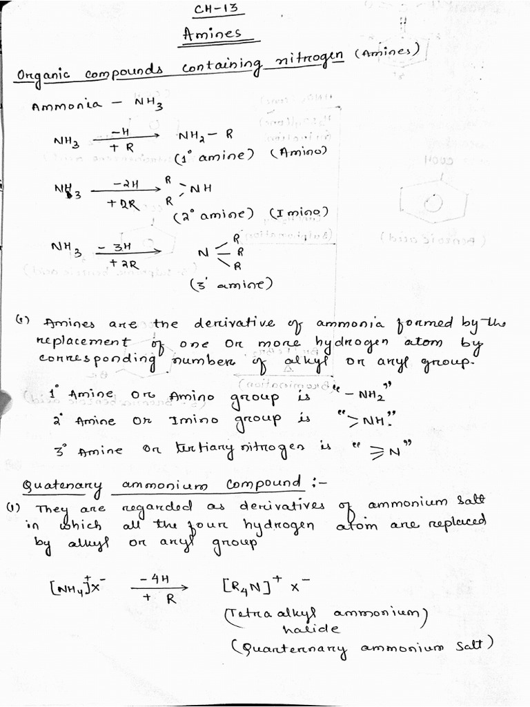 Amines Pdf
