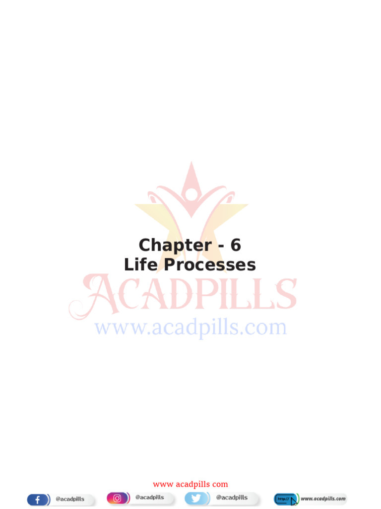 Chapter 6 – Life Processes | PDF