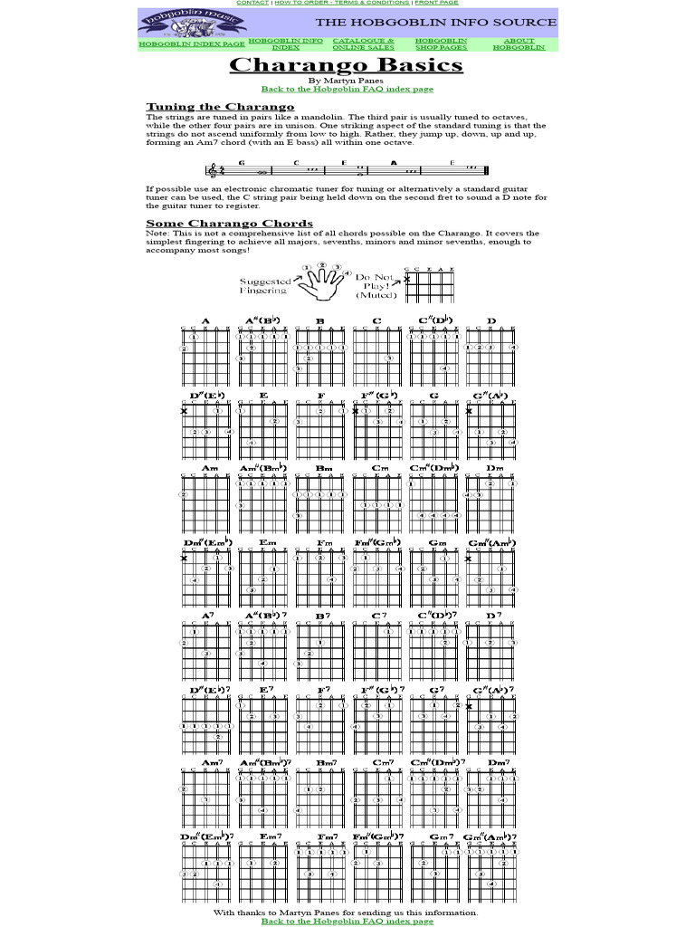 Charango Basics | PDF