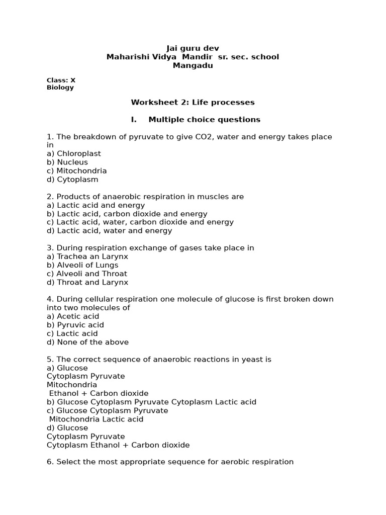 ws2 respiration to excretion | PDF | Atrium (Heart) | Vein