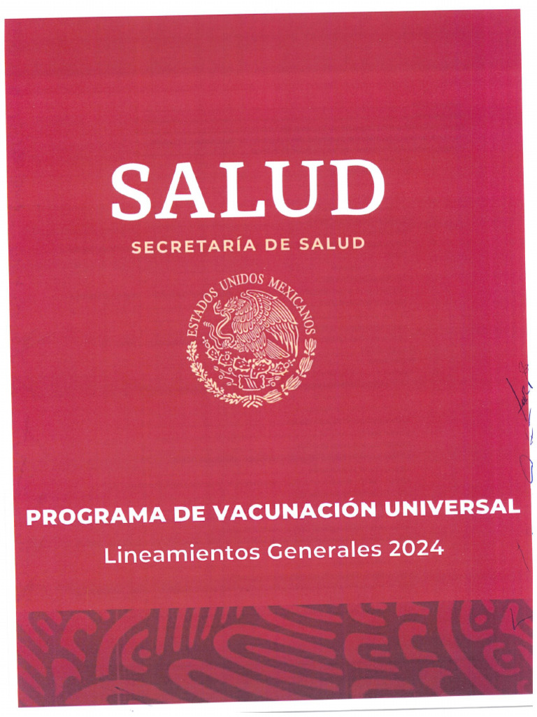 Lineamientos Generales Del Pvu 2024 | PDF