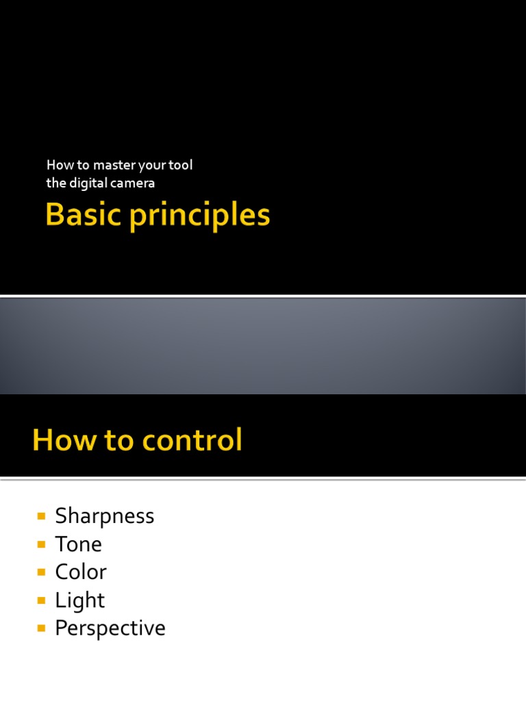 Basic Principles of Your Digital Camera | PDF | Pixel | Digital Camera