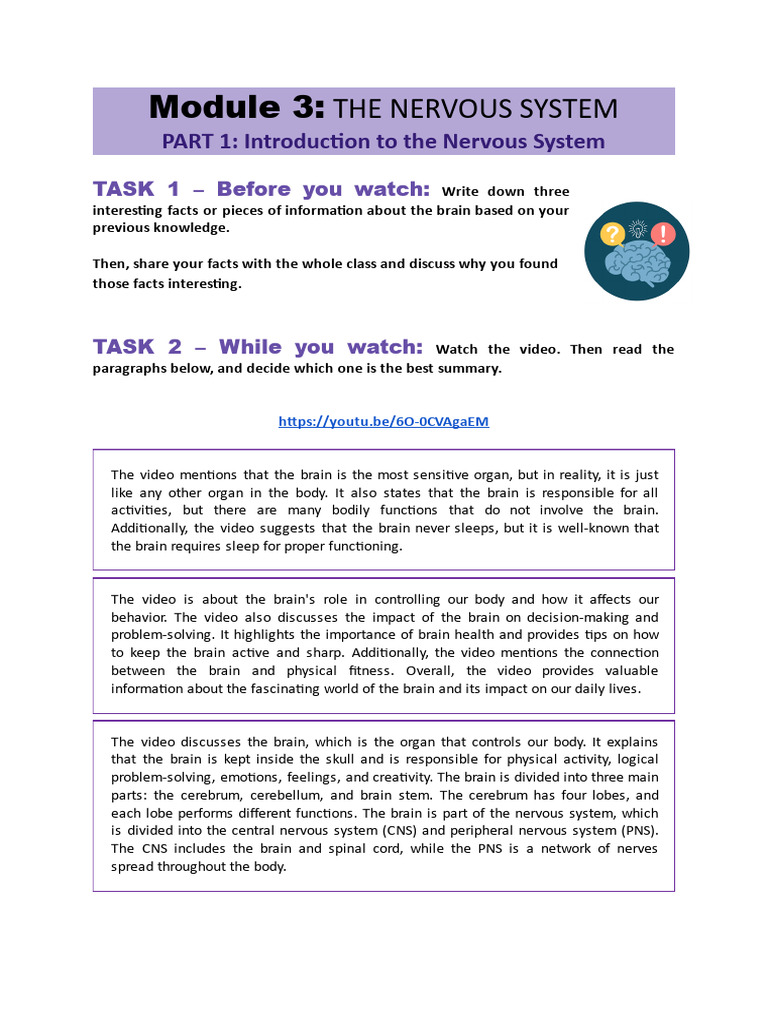 STUDENT's Handout - Nervous System - Documentos de Google | PDF ...