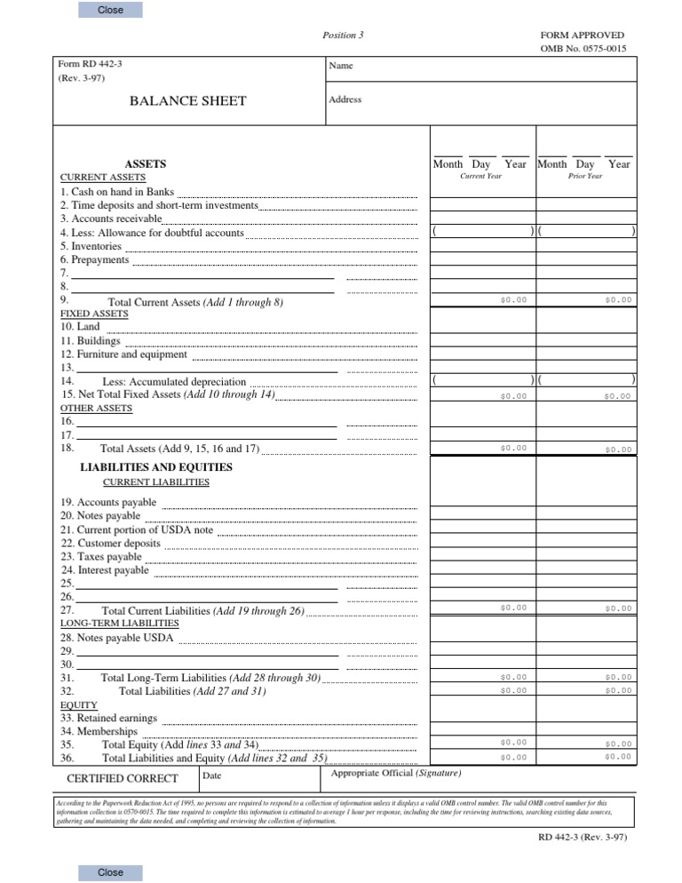 Balance Sheet Form RD 442-3 Guide | PDF | Business | Finance & Money ...