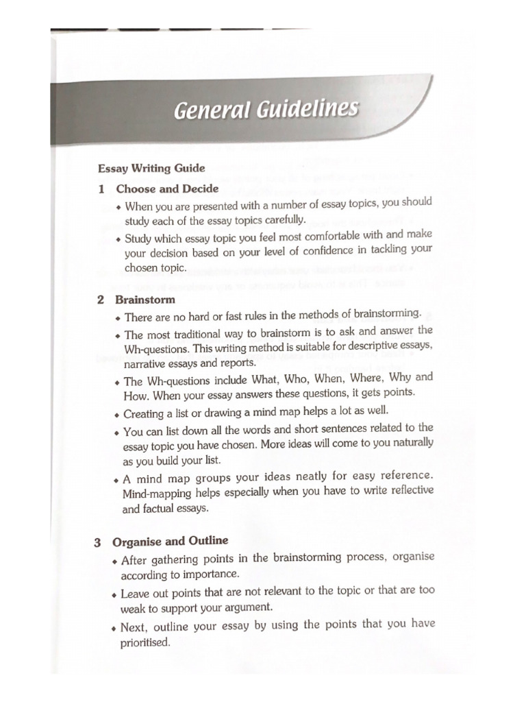 Essay Guidelines | PDF