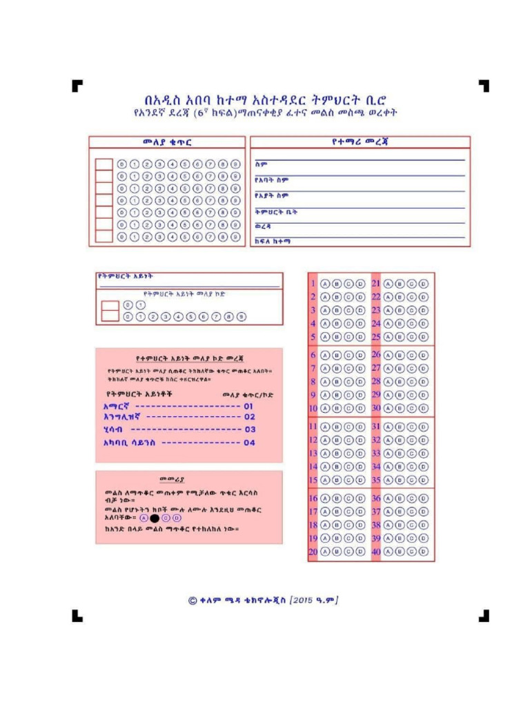 Grade 6 and 8 Answer Sheet | PDF