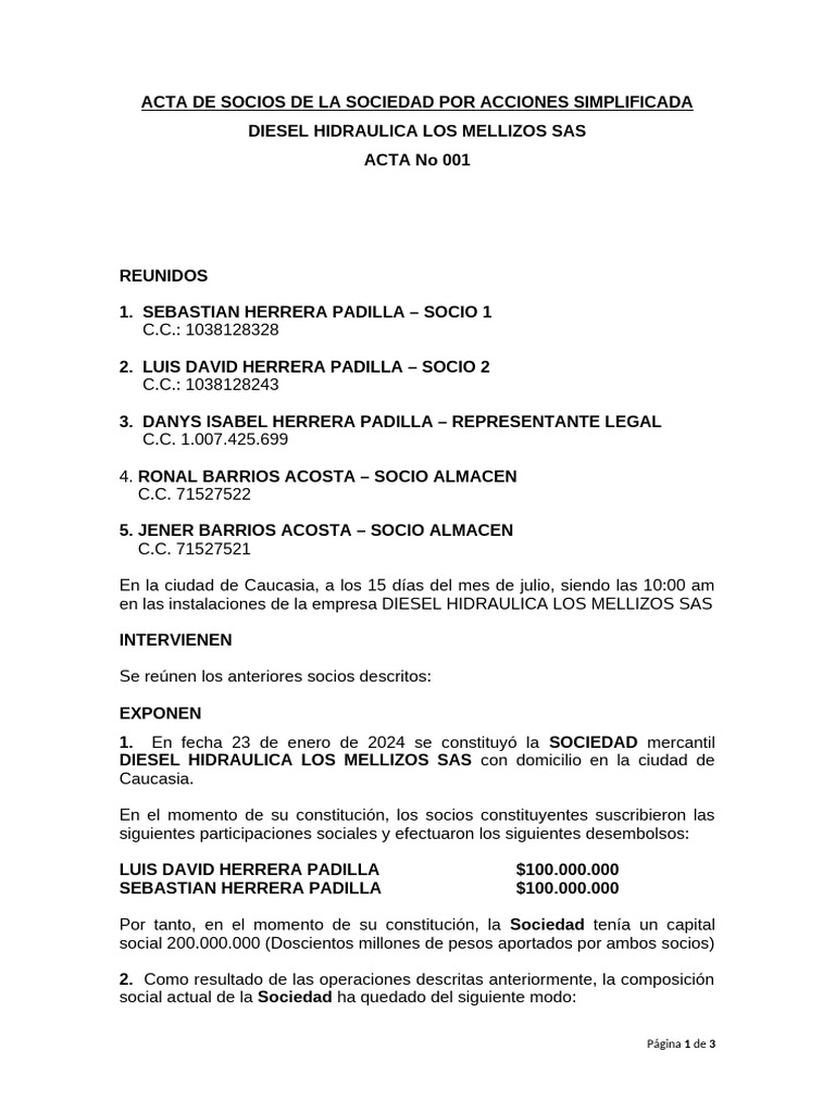 Acta 001 Los Mellizos Diesel Socios Almacen | PDF