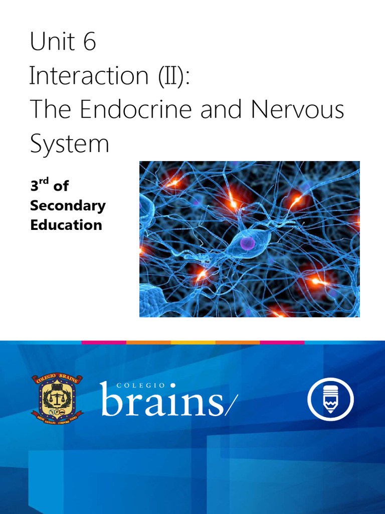 Unit 6 Interaction (II) : The Endocrine and Nervous System: 3 of ...