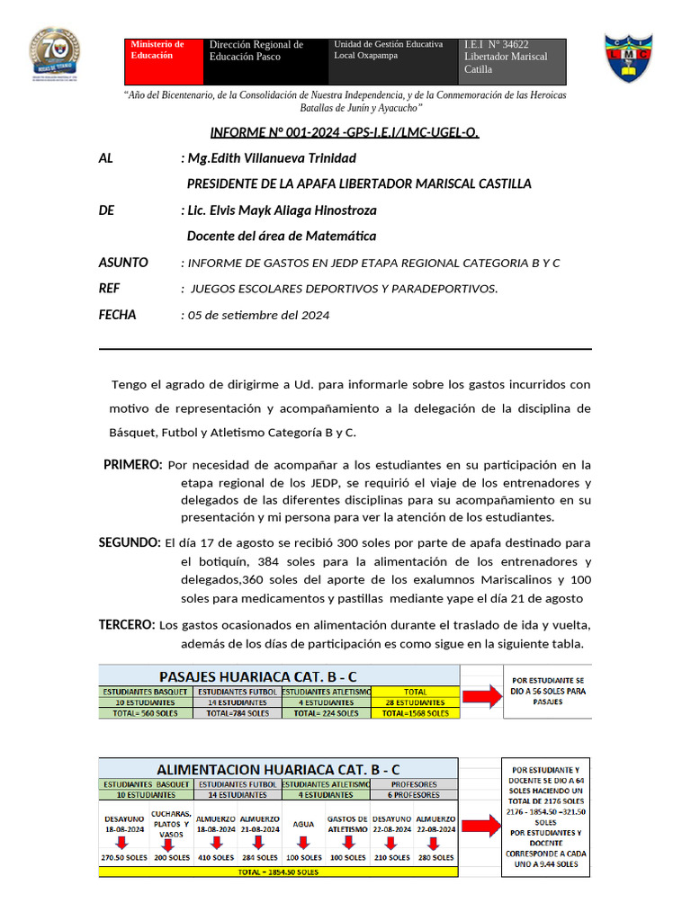 Informe Economico A Apafa | PDF