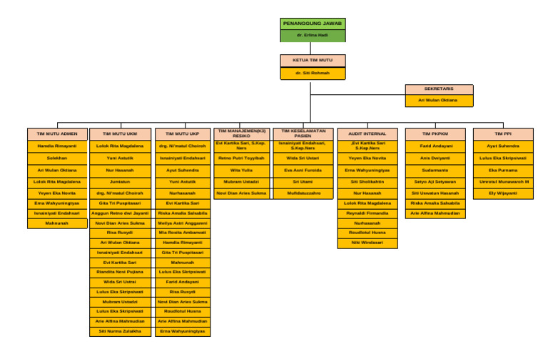 Struktur Tim Mutu Baru | PDF