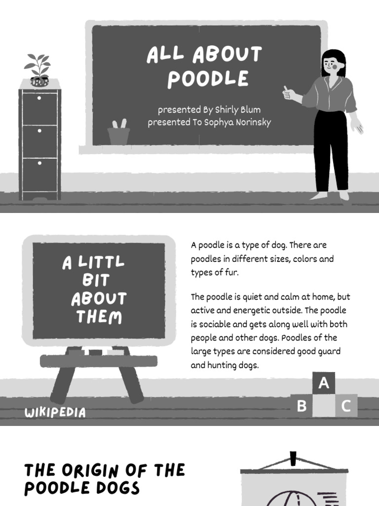 Poodle: Traits, Care, and History | PDF | Poodle | Dogs