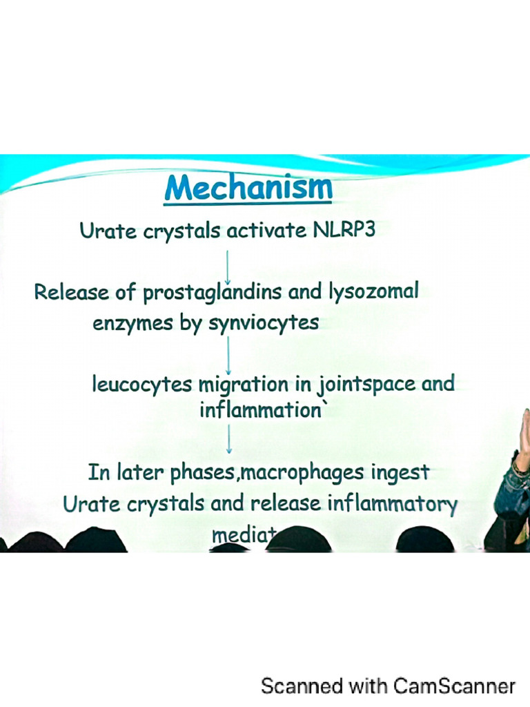 Treatment of gout | PDF